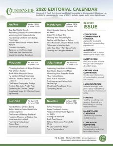 Print & Digital Magazine - Countryside